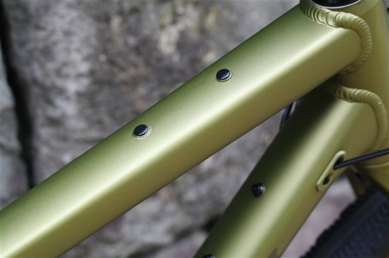 SALSA "JOURNEYER SORA"