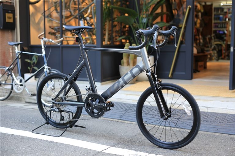 TERN "SURGE 2024LIMITED"