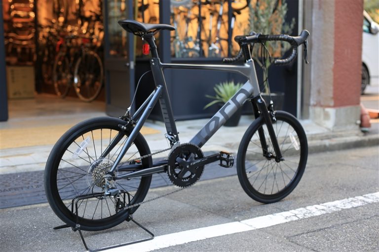 TERN "SURGE 2024LIMITED"