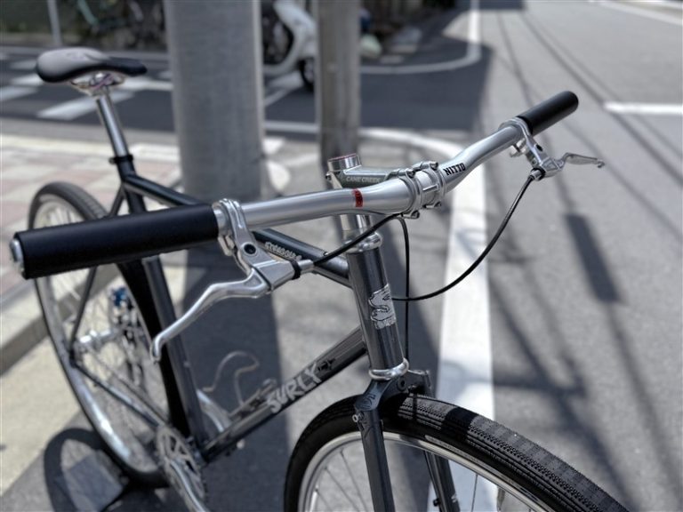 SURLY "STRAGGLER / SINGLE"